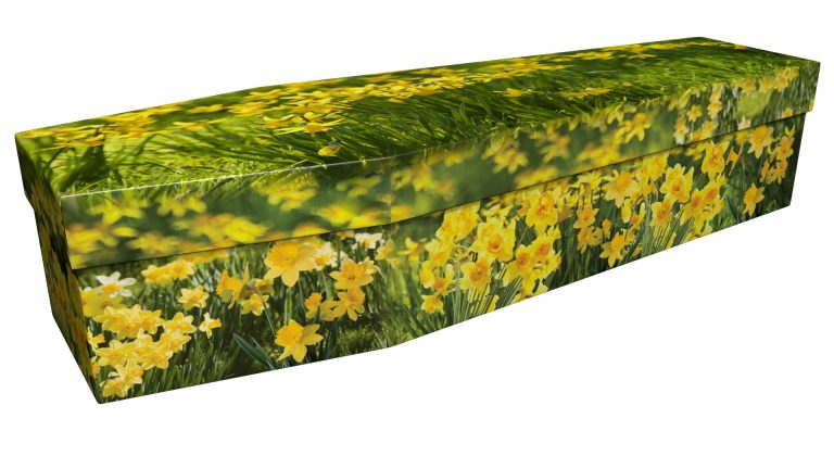 Direct Cremation - Isle of Wight Direct Cremation